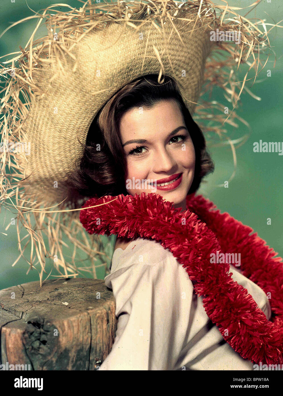 Angie dickinson High Resolution Stock Photography and Images - Alamy