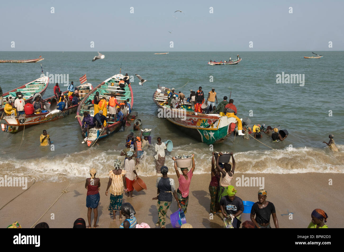 people off-load fish from fishing pirogues at the fish market, Tanji ...
