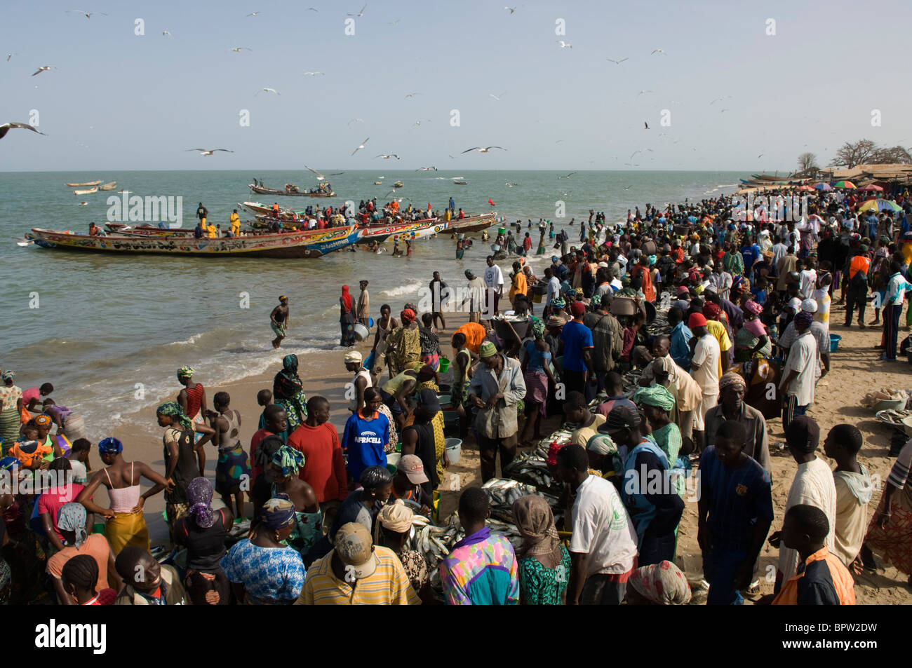 people off-load fish from fishing pirogues at the fish market, Tanji ...