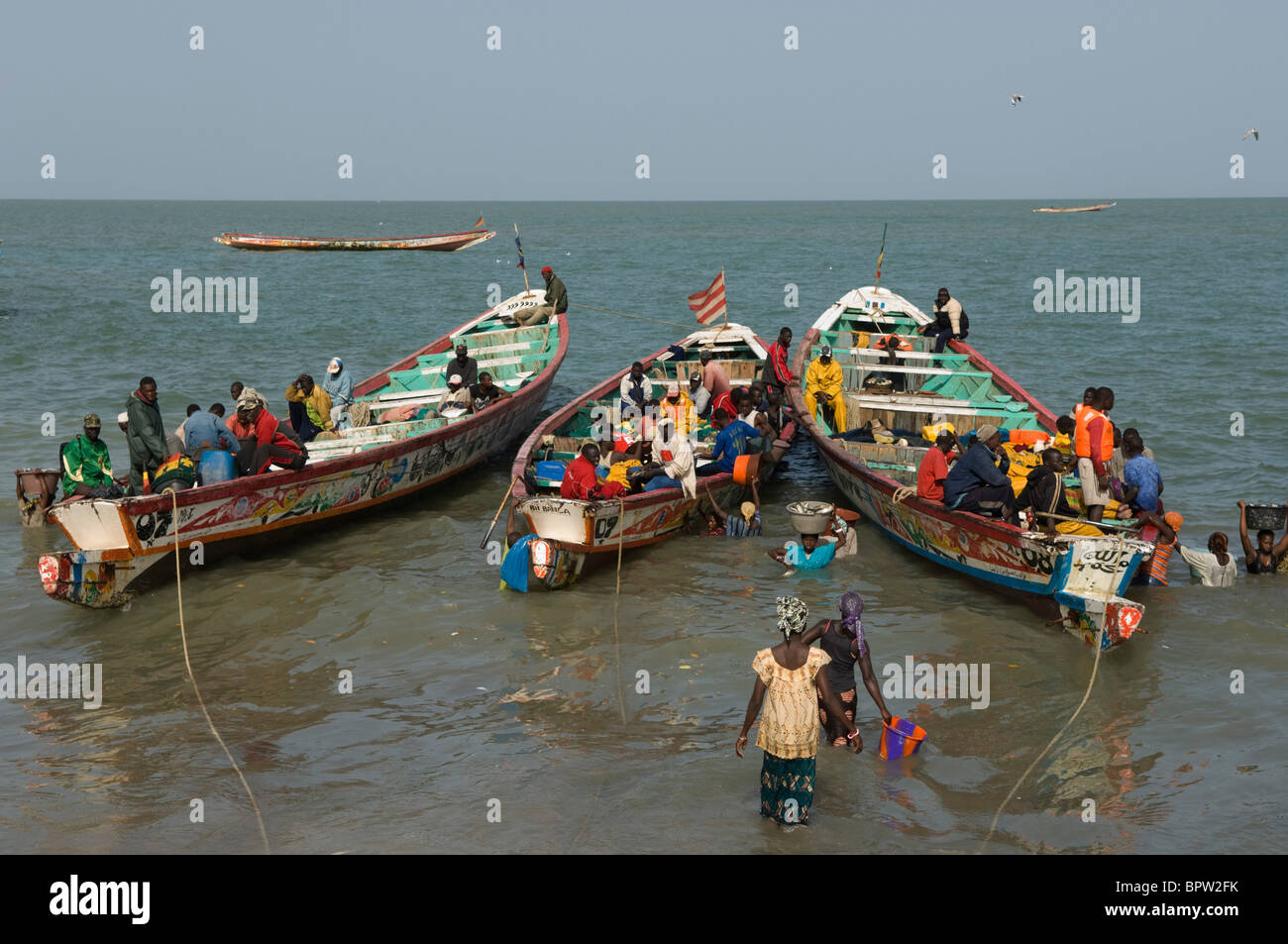 people off-load fish from fishing pirogues at the fish market, Tanji ...