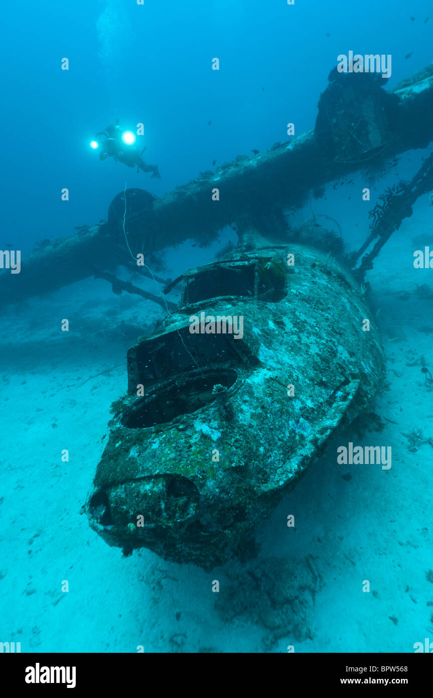Flying and underwater hi-res stock photography and images - Alamy