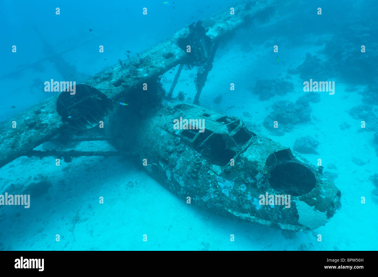 Flying and underwater hi-res stock photography and images - Alamy