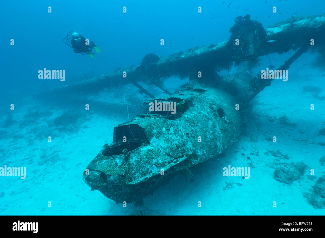 Diver exploring the wreck of a PBY Catalina seaplane or flying boat ...