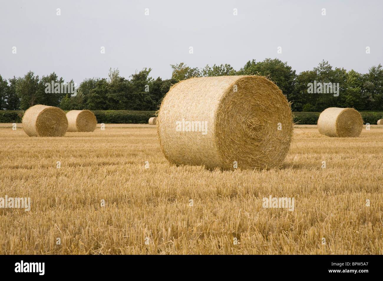Baled Round Bales Market Garden, Farms and Farm Equipment, Tarleton ...