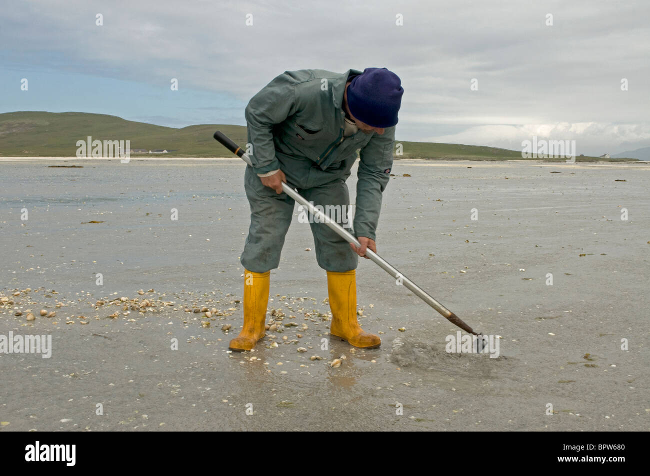 Cockling on the Traigh Mhòr Strands on the Isle of Barra, Outer ...