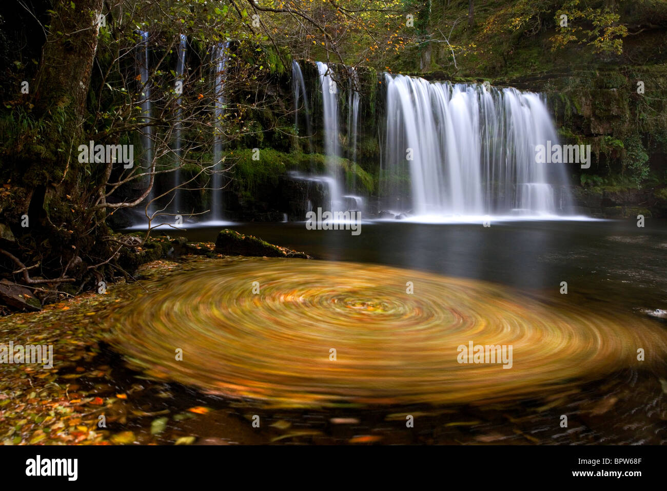 Leaf swirl at Sgwd Ddwli Uchaf waterfall near Pontneddfechan in the ...