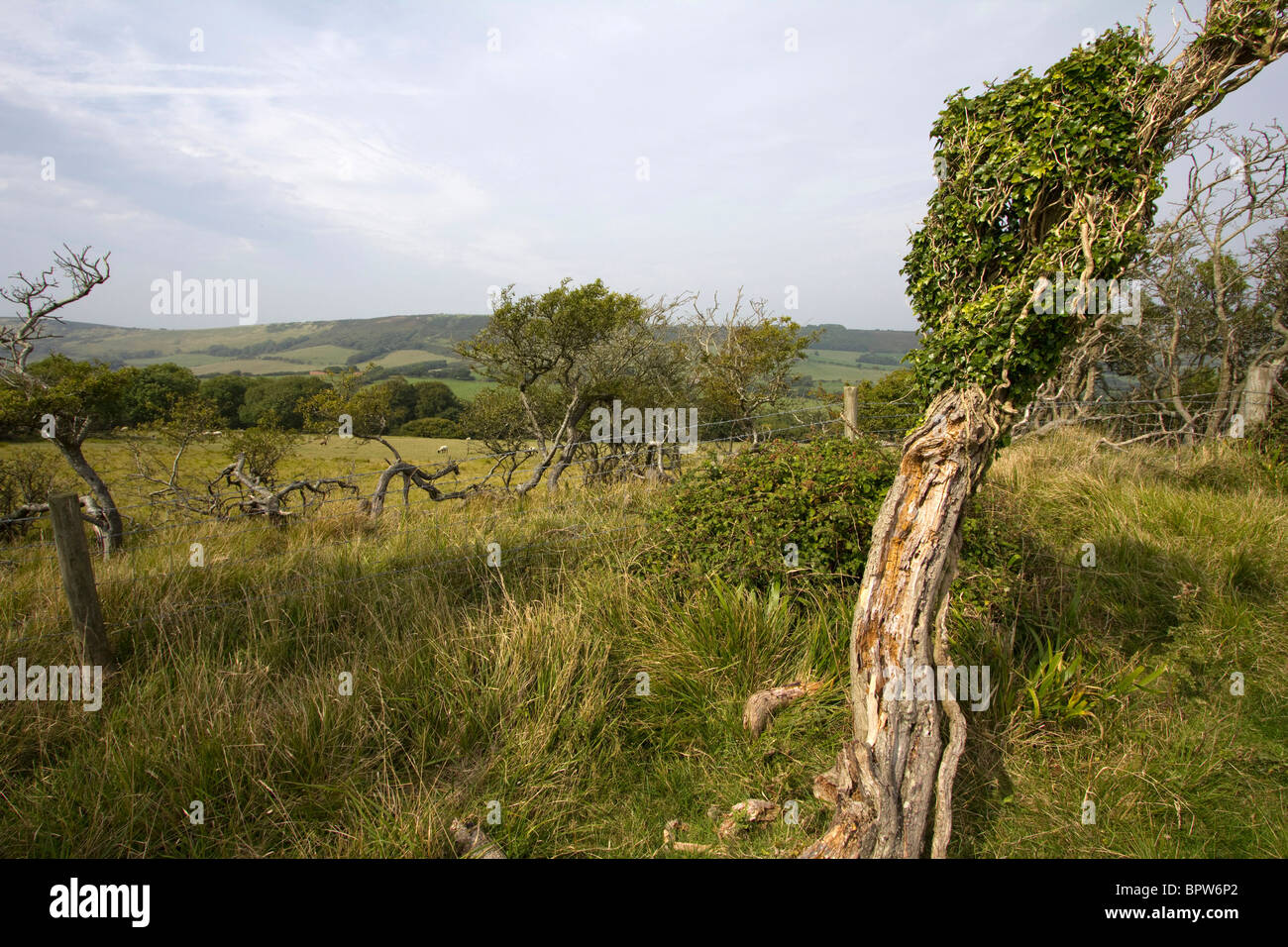 jurassic world heritage site tyneham cap dorset england uk gb Stock ...