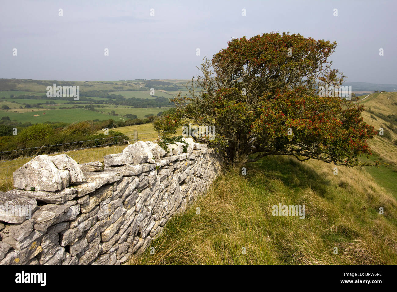 tyneham cap jurassic world heritage site coastal footpaths dorset ...
