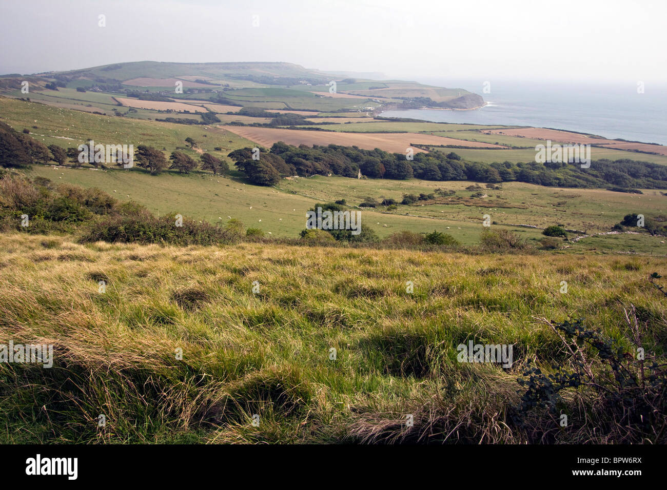 kimmeridge bay fields jurassic world heritage site dorset england uk gb ...