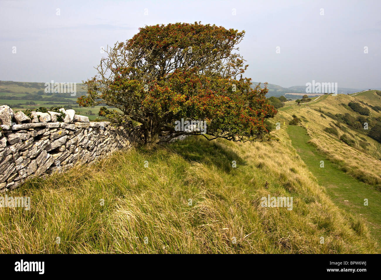 jurassic world heritage site coastal footpaths tyneham cap dorset ...