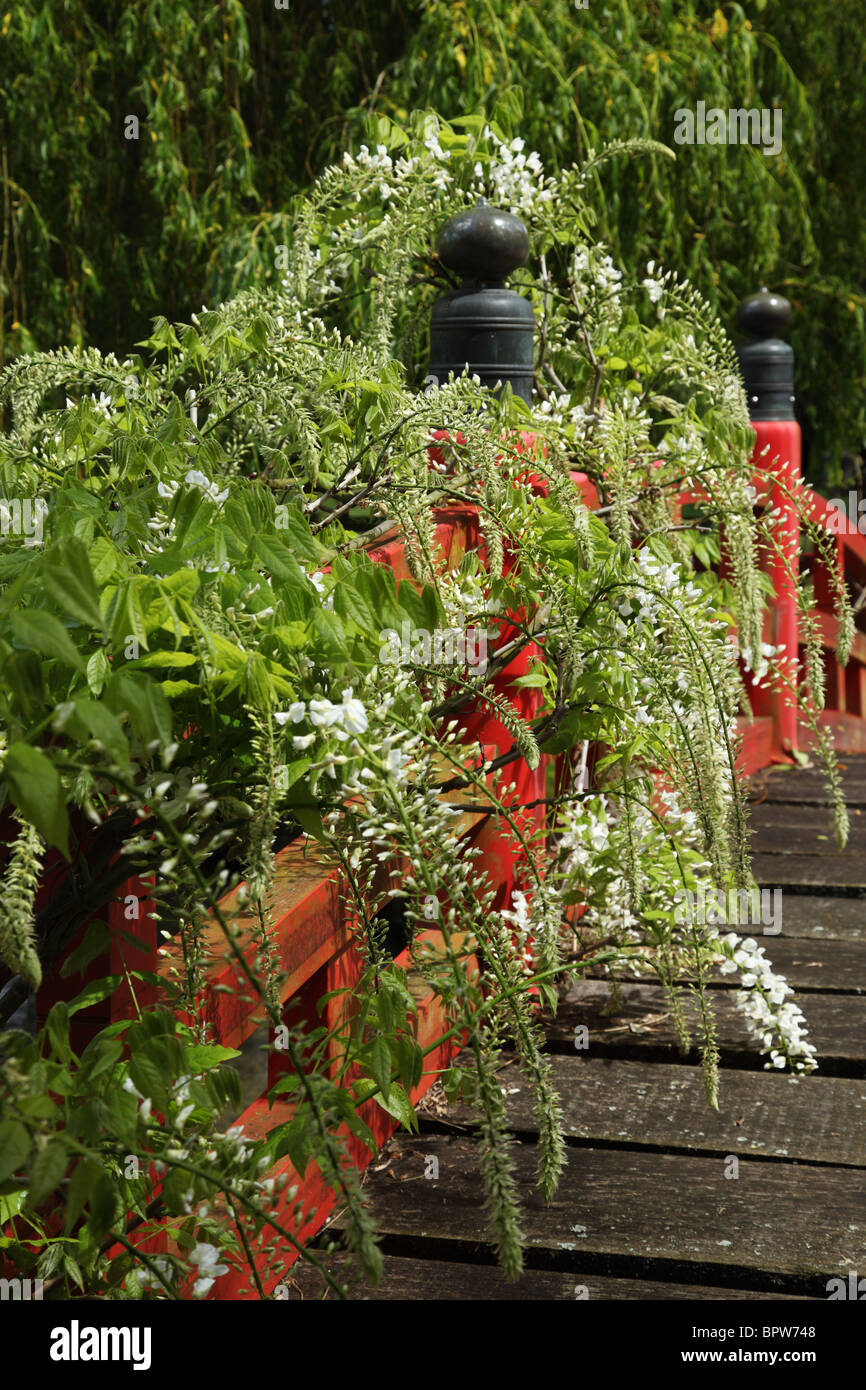 Heale house and gardens hi-res stock photography and images - Alamy