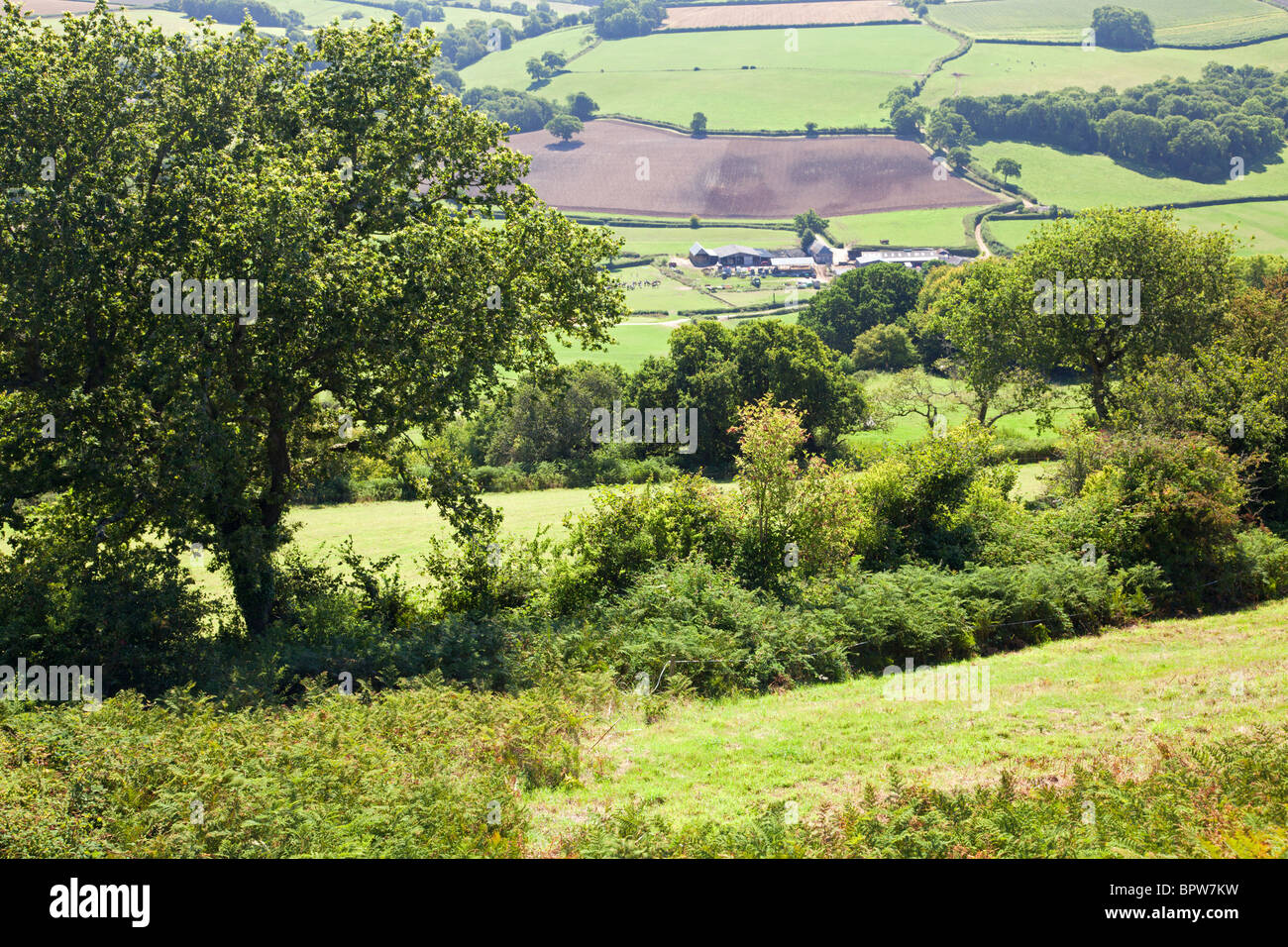 Musbury castle hi-res stock photography and images - Alamy