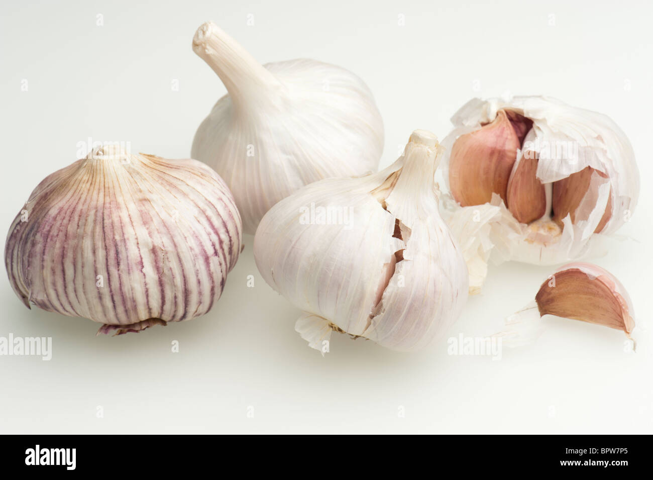 Garlic food cloves bulb bulbs hi-res stock photography and images - Alamy