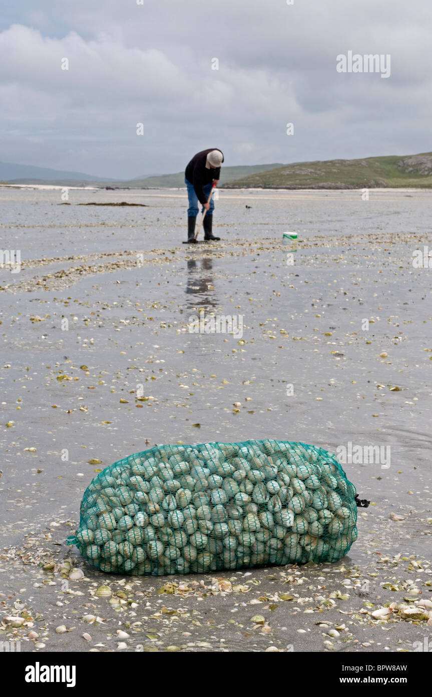 Cockle pickers on the Traigh Mhòr Strands on the Isle of Barra, Outer ...