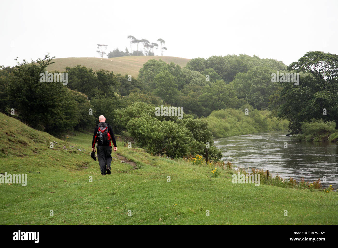 Rambler walking hi-res stock photography and images - Alamy