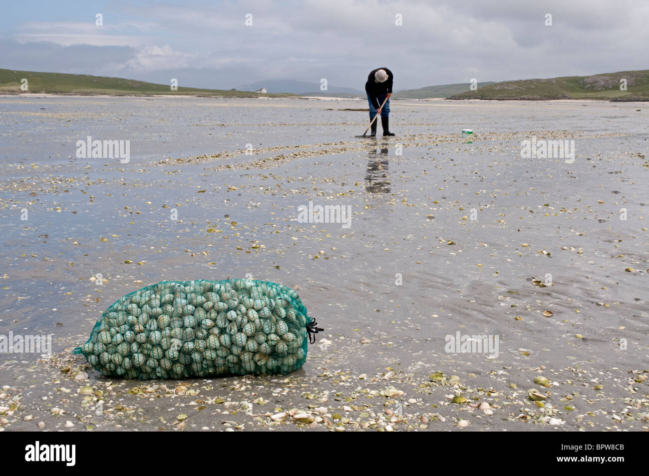 Cockle pickers on the Traigh Mhòr Strands on the Isle of Barra, Outer ...