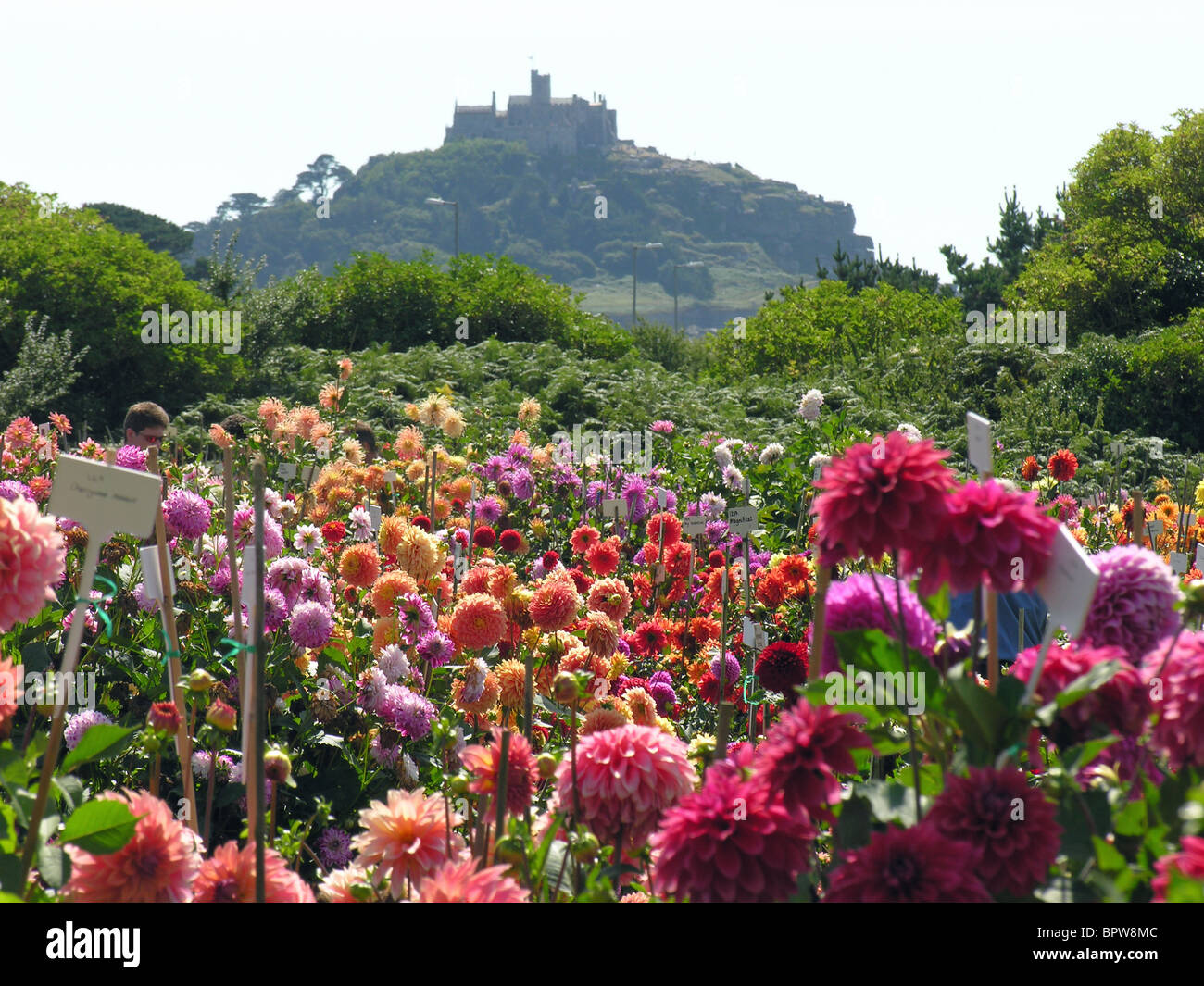 Varfell farm hi-res stock photography and images - Alamy