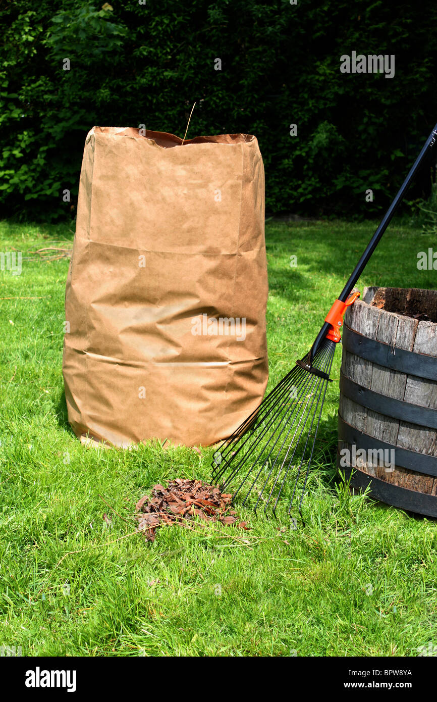 Freshly raked backyard, with rake, leaves and recycling yard waste ...