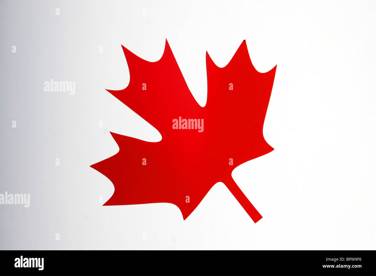 Vancouver Maple Leaf High Resolution Stock Photography and Images - Alamy