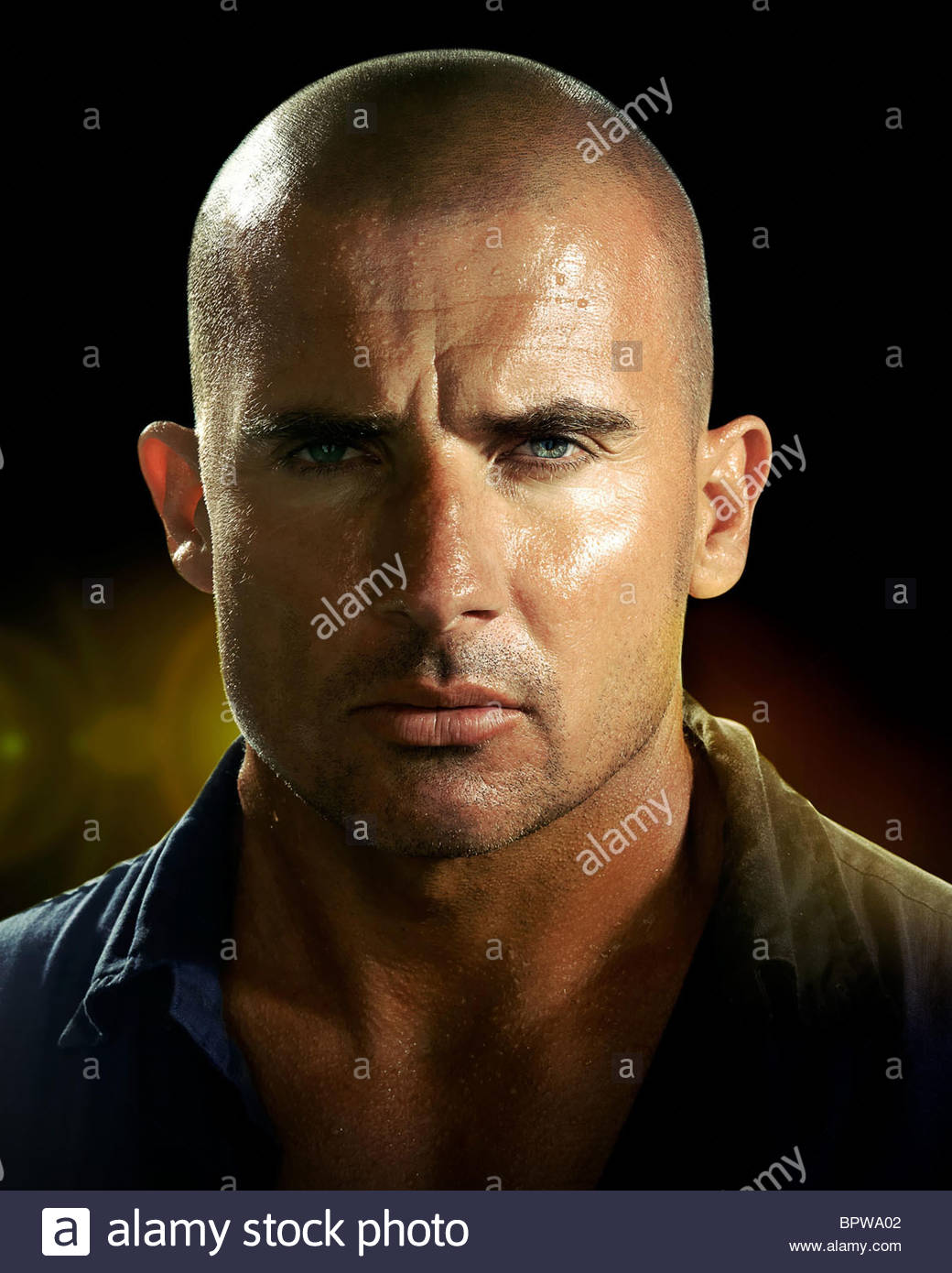 Dominic Purcell, Prison Break High Resolution Stock Photography and ...