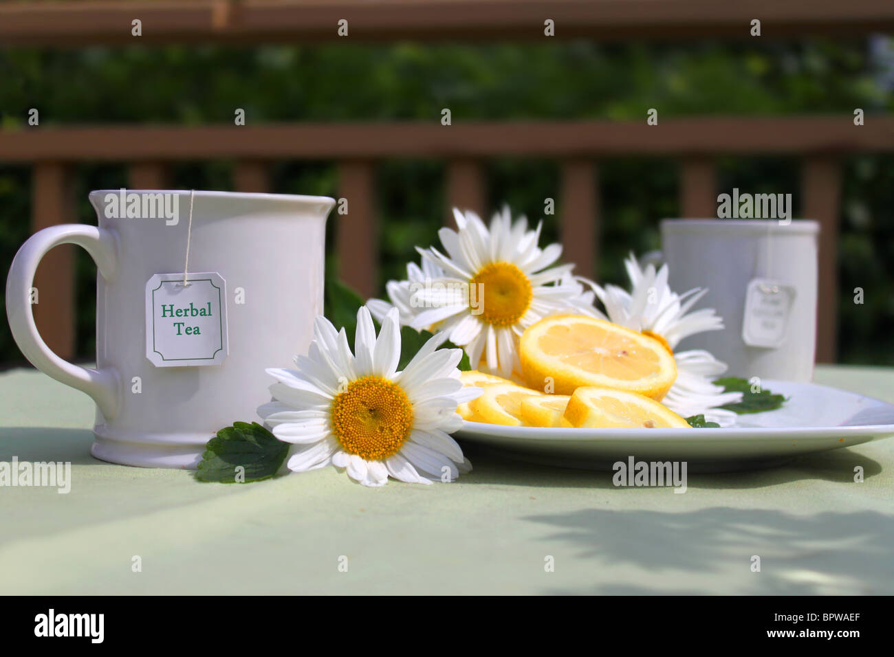 A cup of herbal tea and yellow daisy flowers and lemon in the outdoors ...