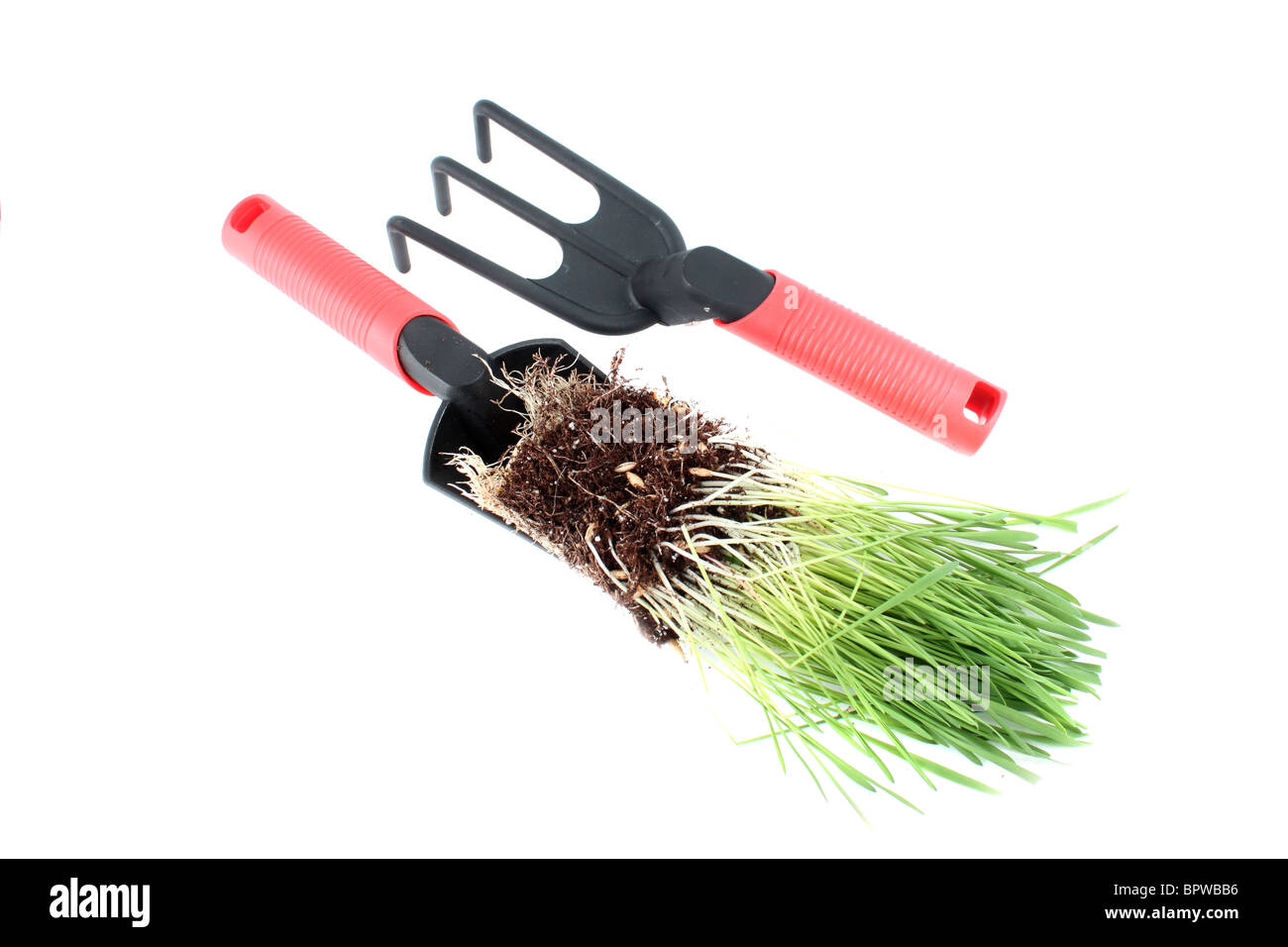 Freshly dug grass and soil in scoop of trowel and cultivator used in ...