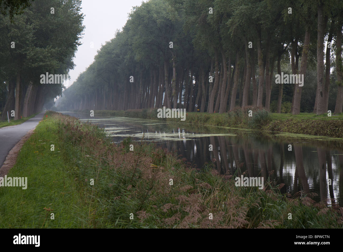 The tree lined Damse Vaart (Bruges-Sluis) canal at Damme in Belgium in ...