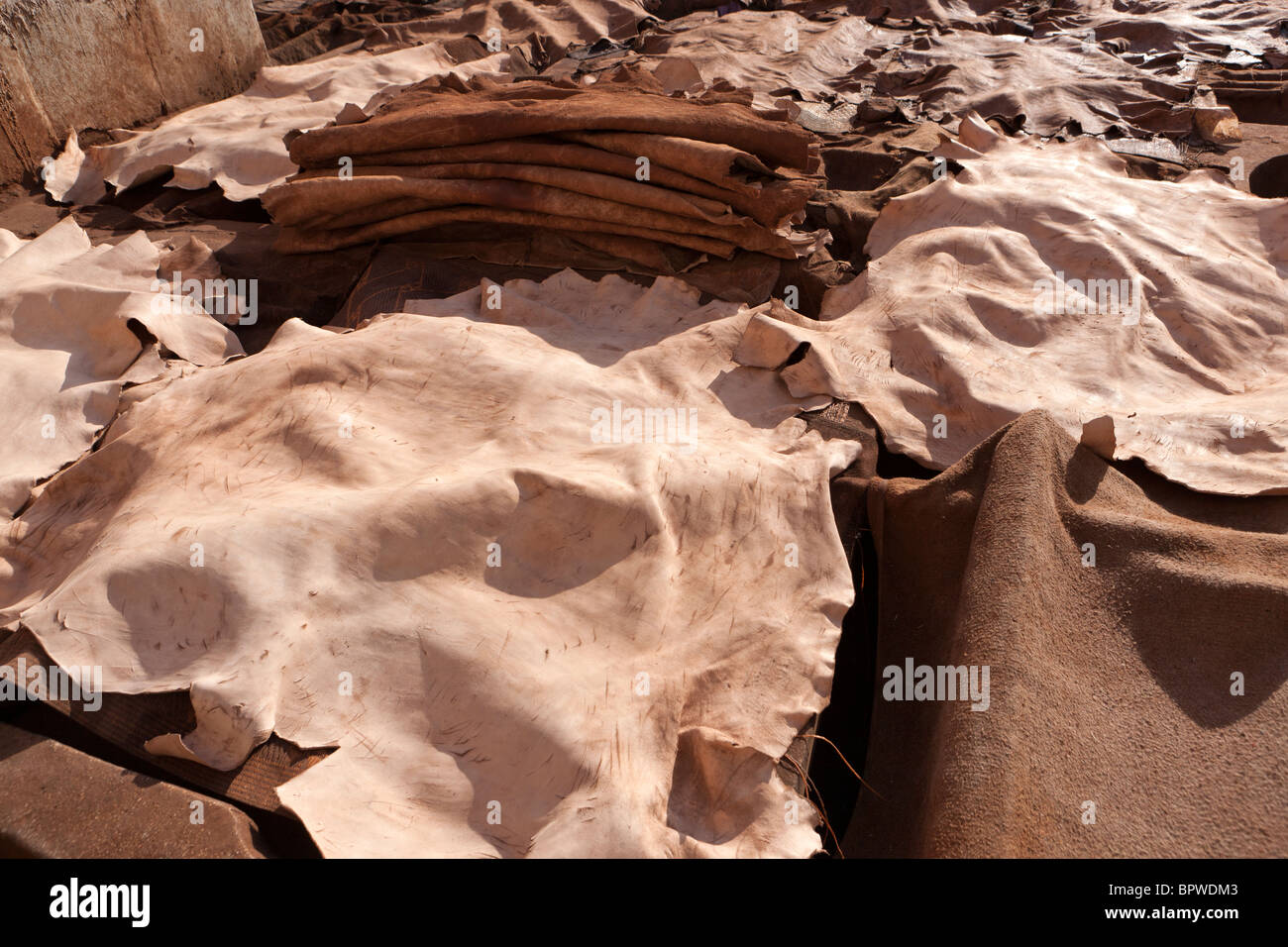 Tanneries. Treating leather in the tanneries Stock Photo - Alamy