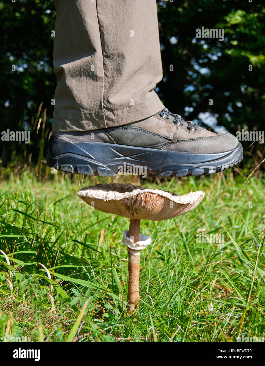 Man stomping hi-res stock photography and images - Alamy