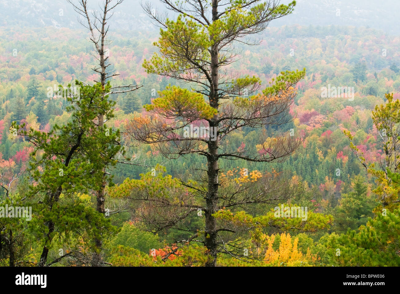Killarney provincial parks hi-res stock photography and images - Alamy