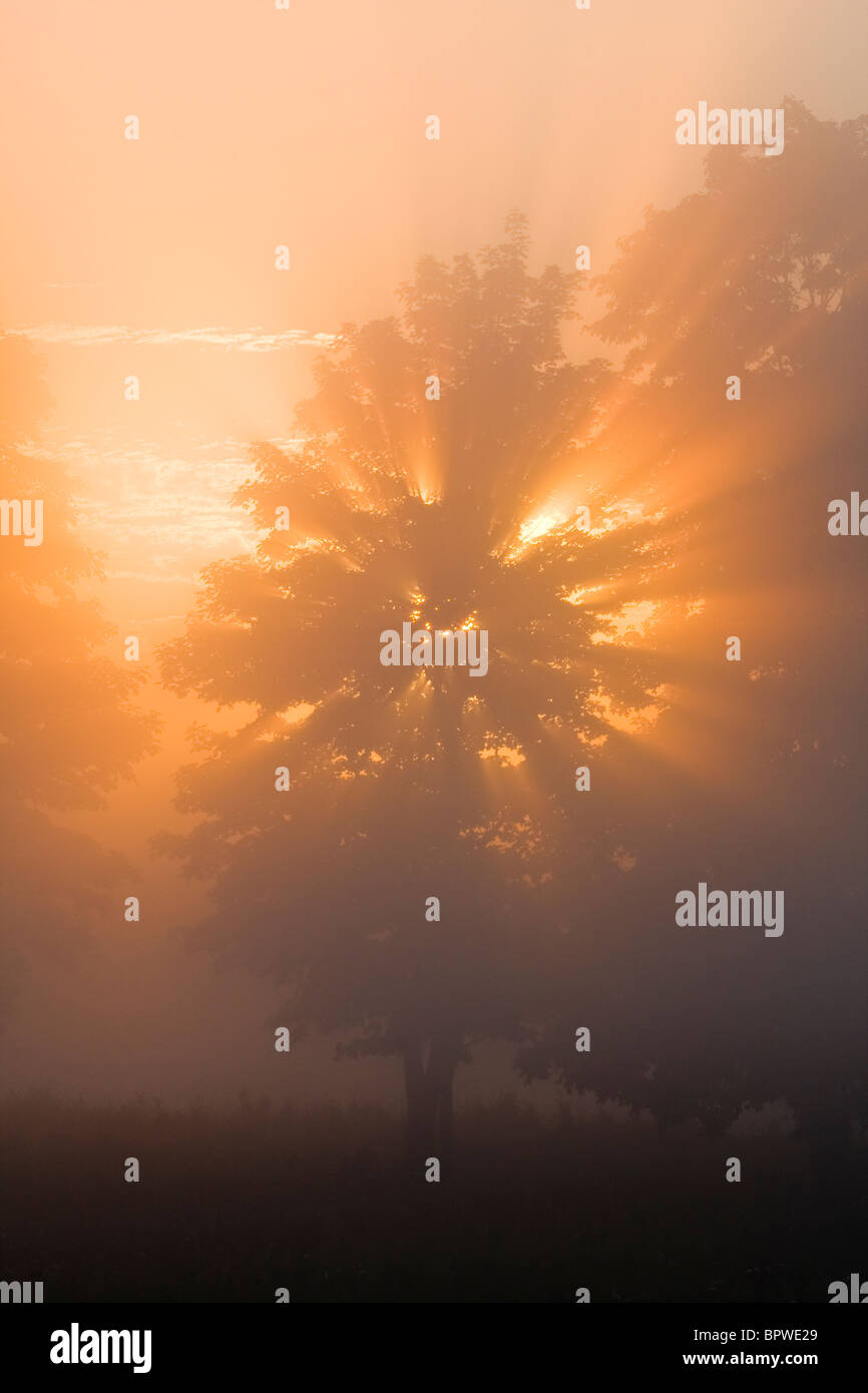 A September sunrise on Manitoulin Island, Ontario, Canada Stock Photo ...