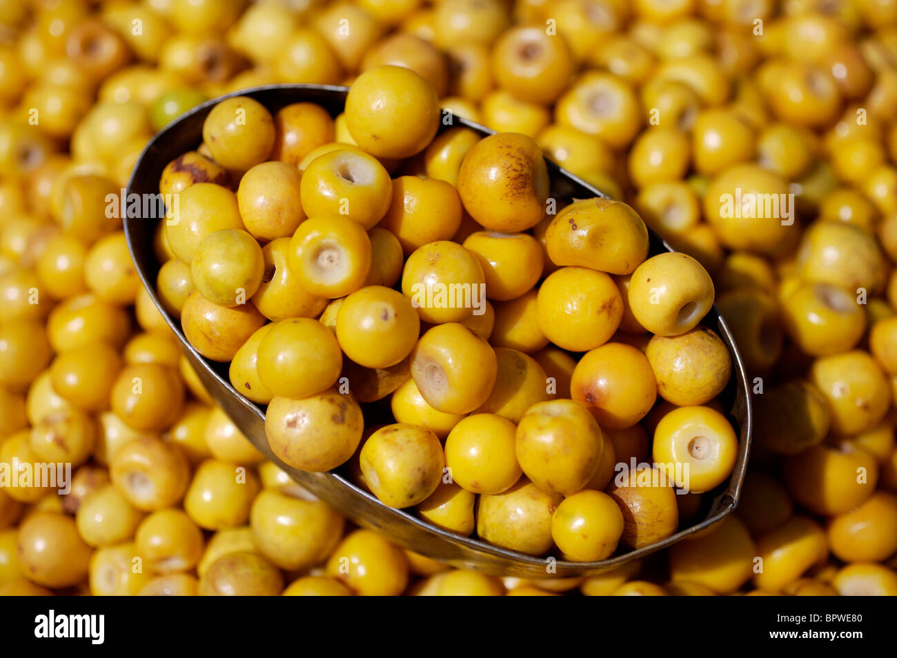 Byrsonima Crassifolia, popularly known as nance fruits, for sale in ...