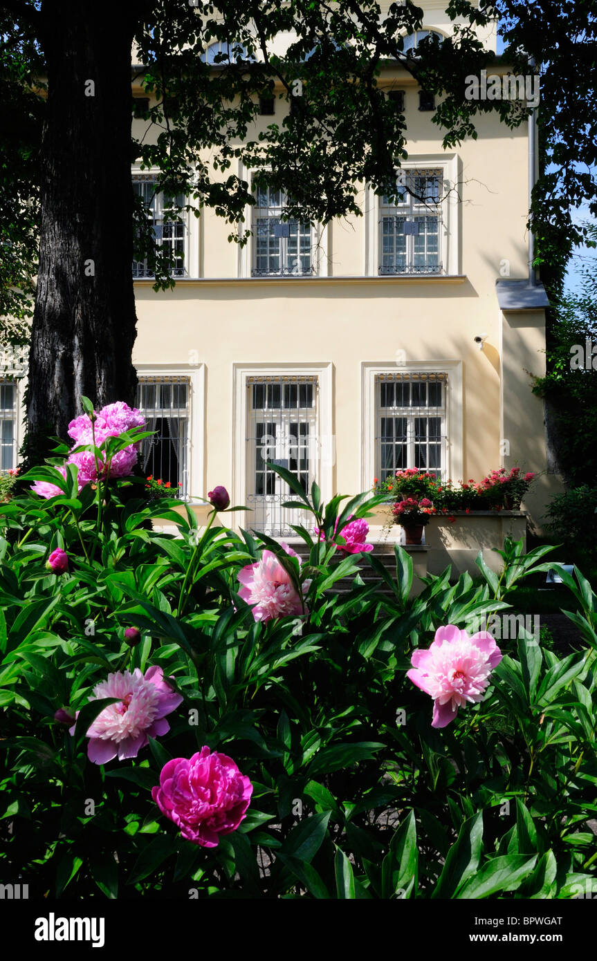 Peonies and exterior of Mehoffer's House from back garden Stock Photo ...