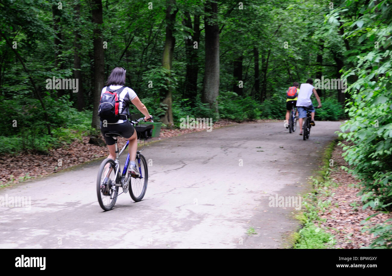 Krakow forest hi-res stock photography and images - Alamy