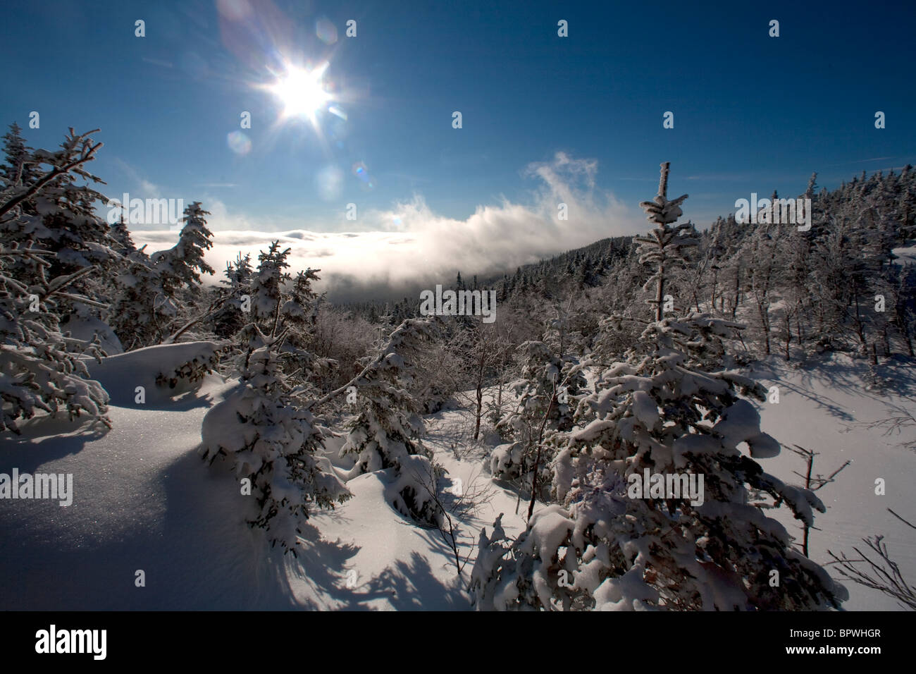 Wildcat mountain new hampshire hi-res stock photography and images - Alamy