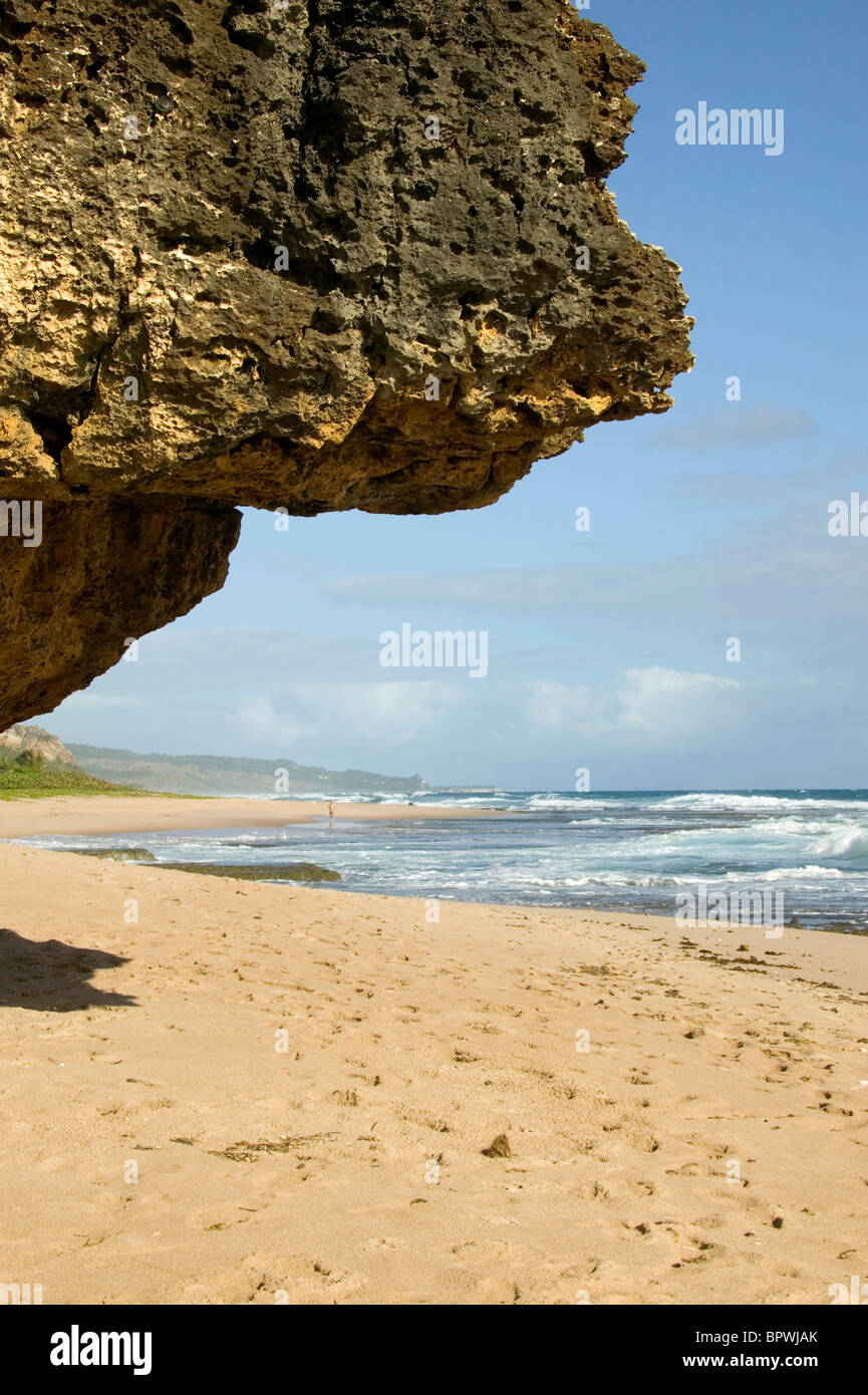 Bathsheba Drive, looking northwards up the Cattlewash Stock Photo - Alamy