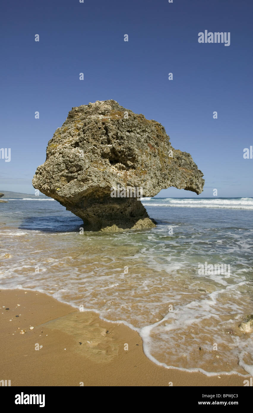 Rock formations known as the Soup Bowl in Bathsheba Stock Photo - Alamy
