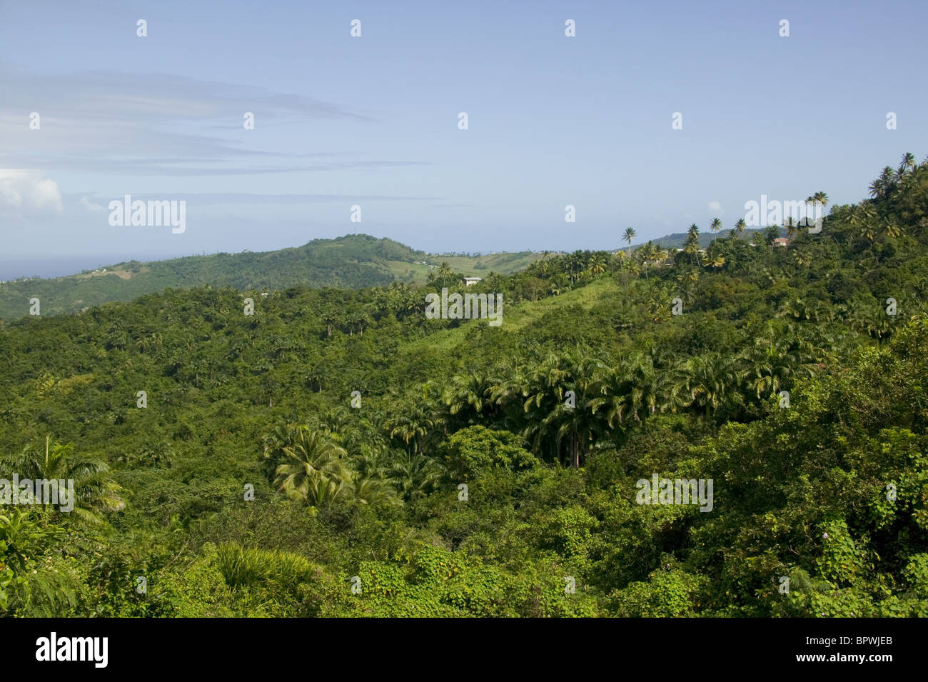 Mount hillaby barbados hi-res stock photography and images - Alamy