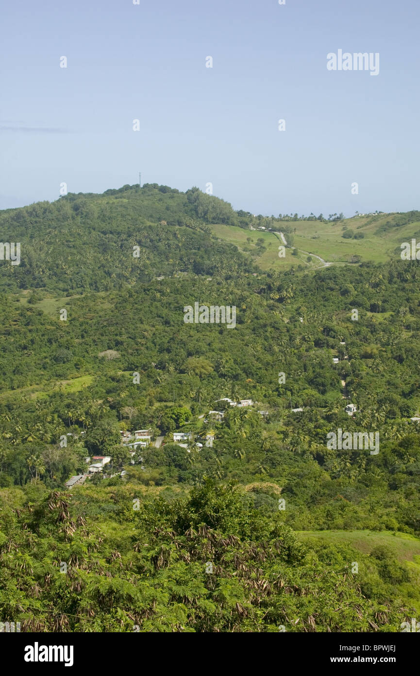 Mount hillaby barbados hi-res stock photography and images - Alamy