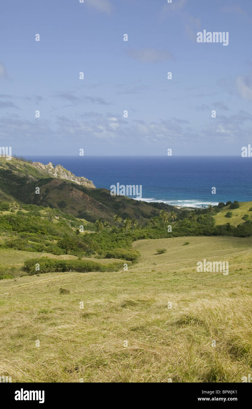 View towards East coast from Chalky Mount Village in the Parish of ...