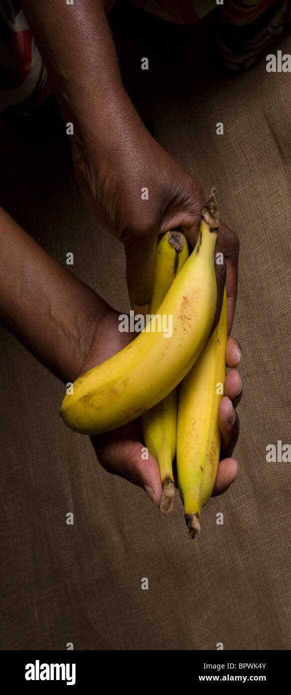 Bananas with stalk hi-res stock photography and images - Alamy