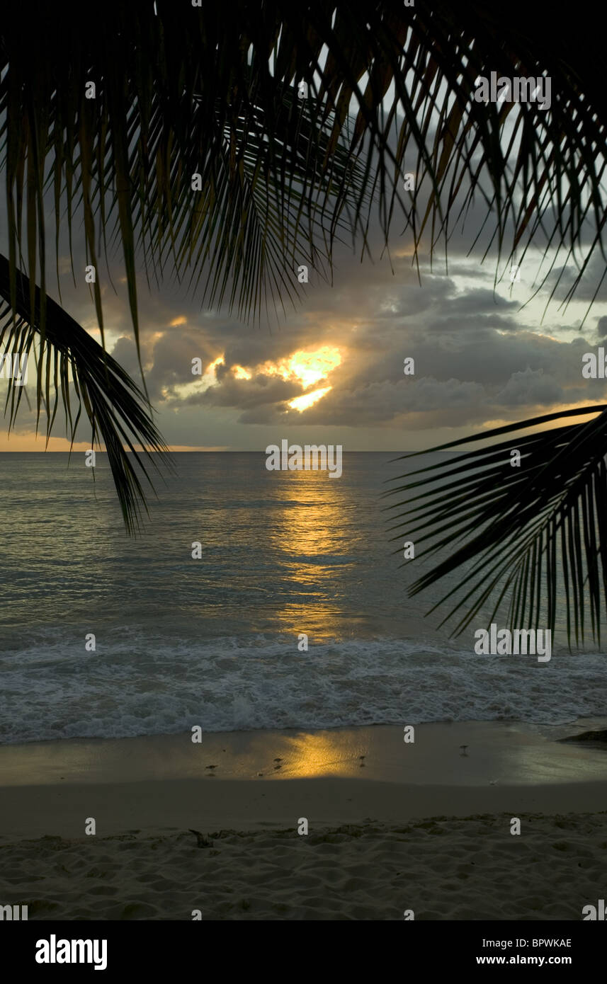 Sunset with palm trees in Mullins beach along Mullins Bay in Barbados ...