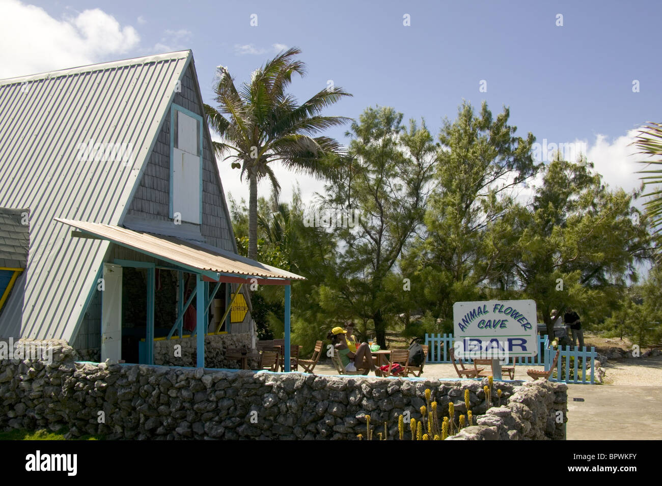 Bar at entrance of Animal Flower Cave in the parish of Saint Lucy in ...
