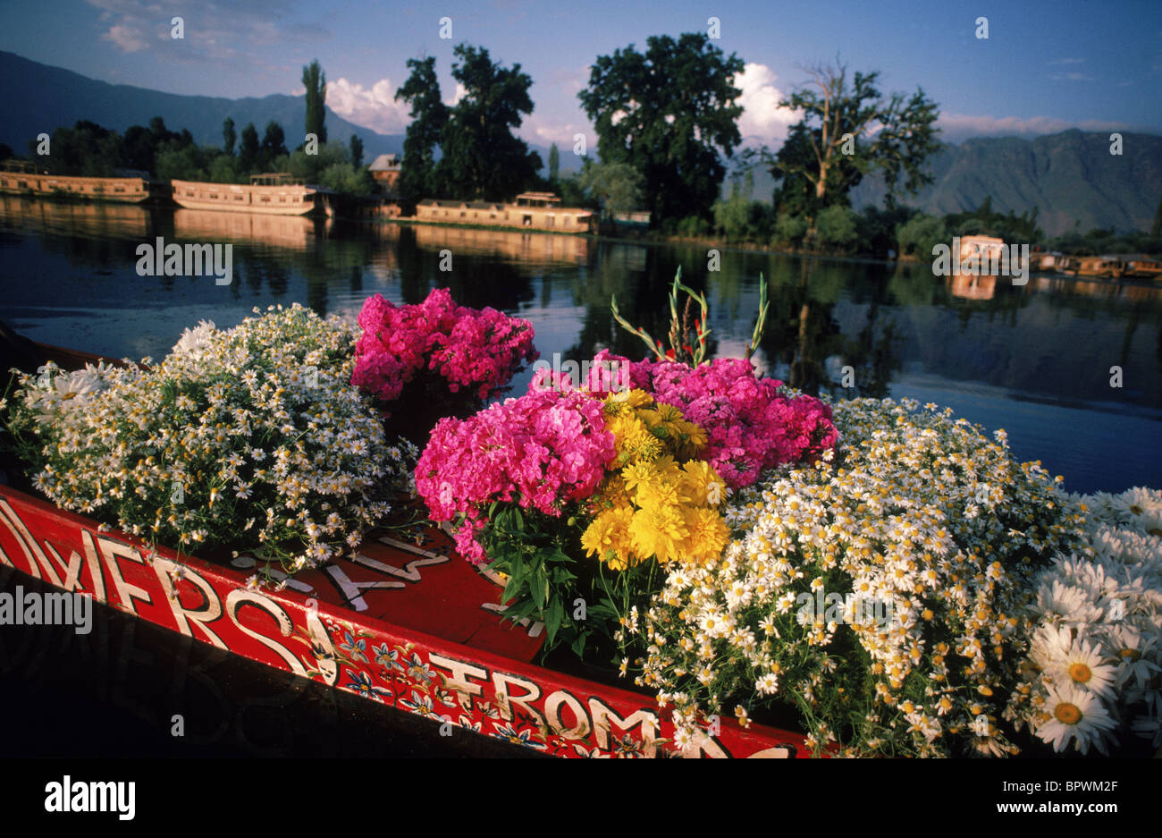 Nagin hi-res stock photography and images - Alamy