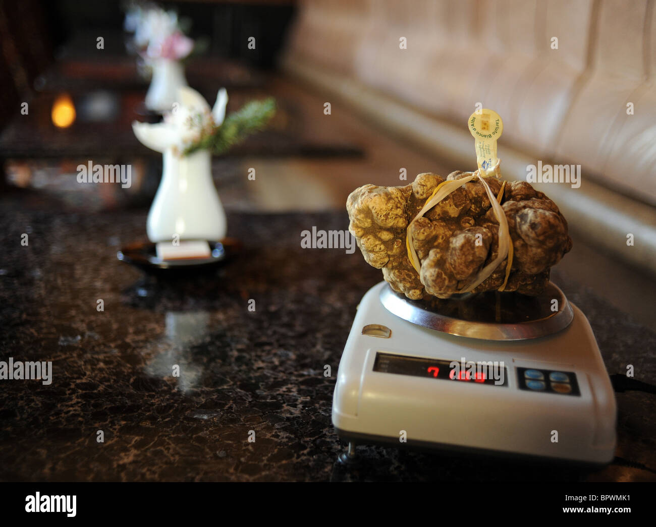 Astapkovich High Resolution Stock Photography and Images - Alamy