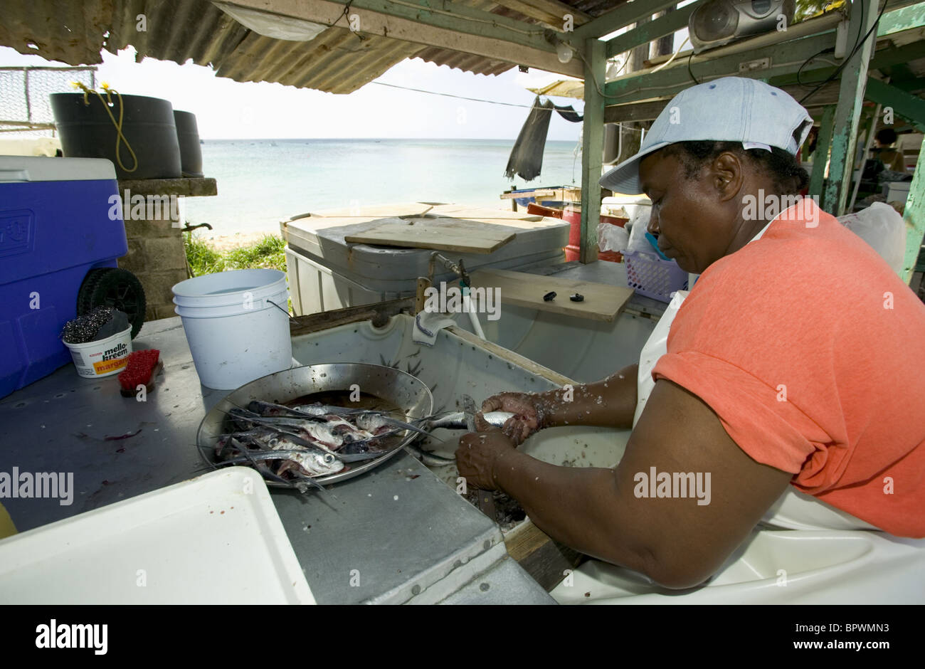 Filleting Flying Fish at Six Men's Bay in Barbados in the Caribbean ...