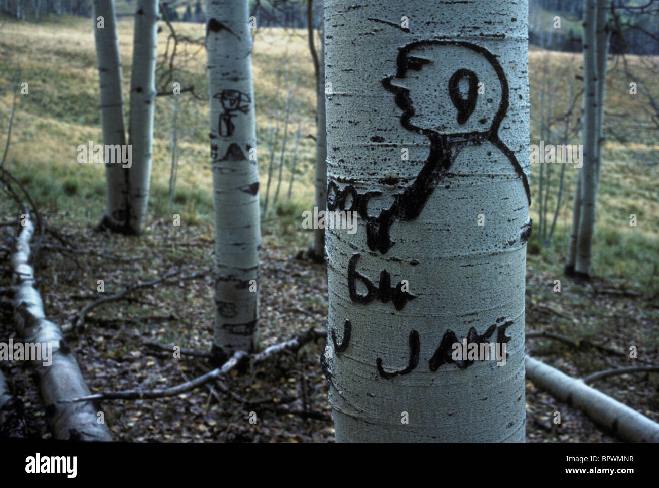 Aspen carvings hi-res stock photography and images - Alamy