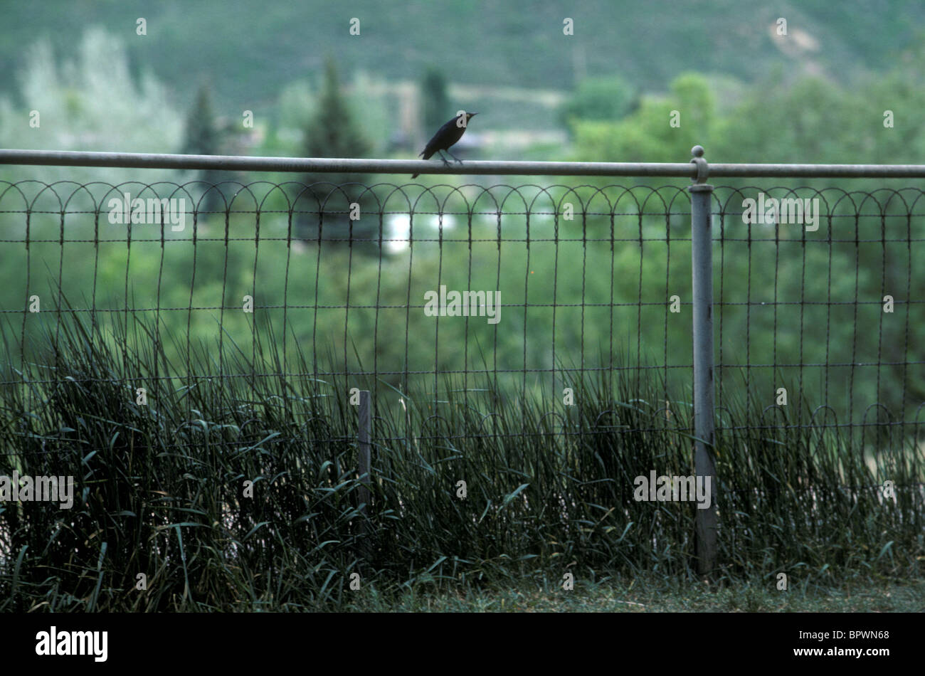 Durango colorado small town travel west tourism americana hi-res stock ...