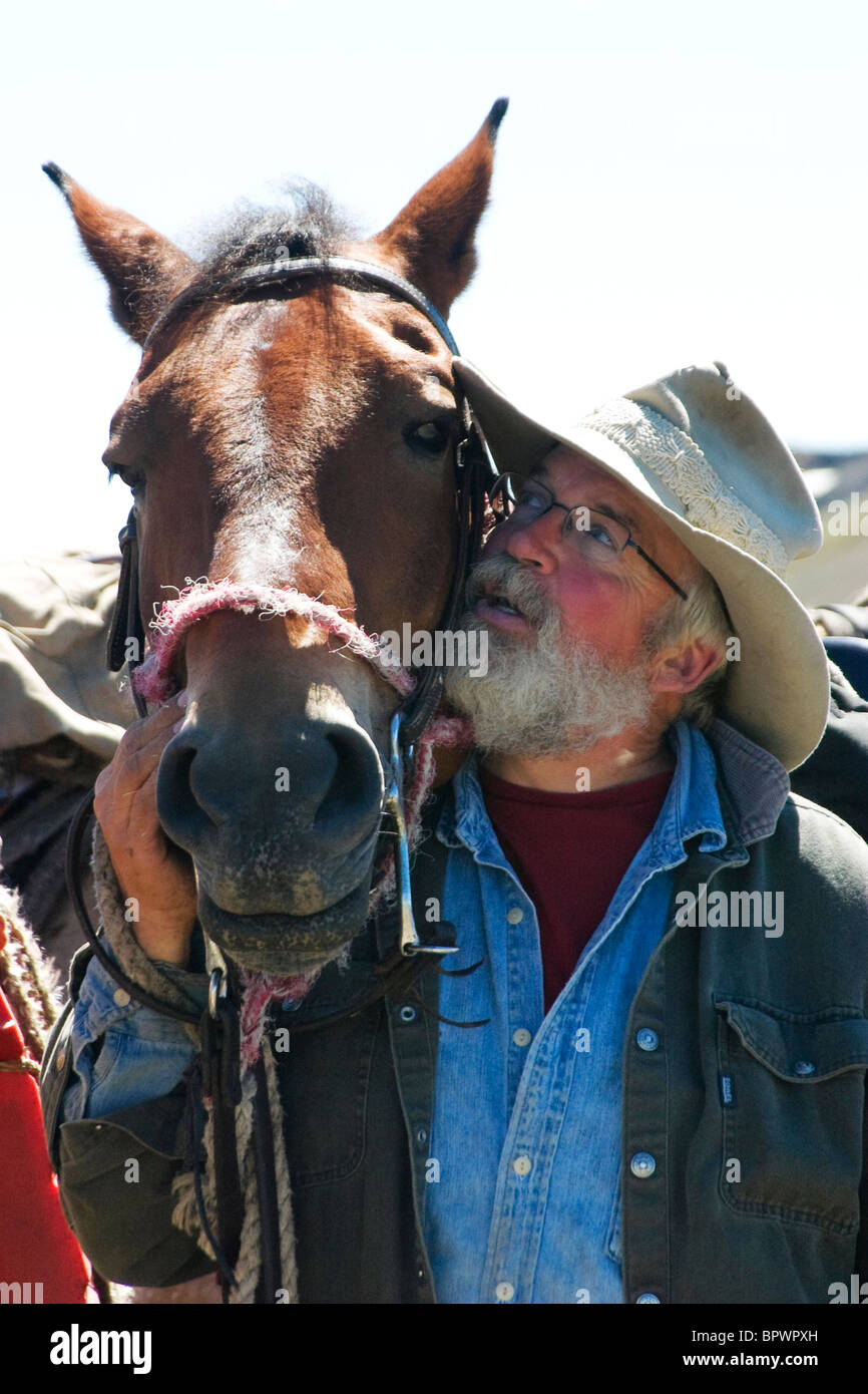 Chilcotin horse hi-res stock photography and images - Alamy