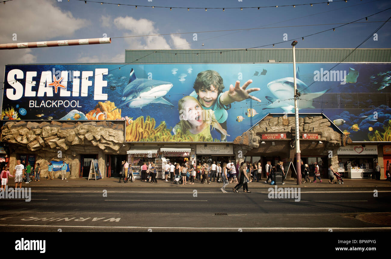 Central Promenade and the sea life centre Blackpool Stock Photo - Alamy